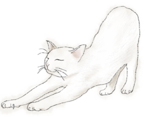 【Twitter Botの作り方】PythonでAPIを実行する | ClassyNode